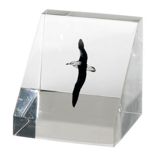 Wedge Embedded Lucite Paperweight - Custom & Promotional Paperweights ...